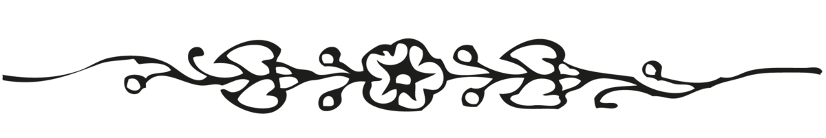 Datei:Ornament Strich.png – MOOCit, P4P Mini MOOCs